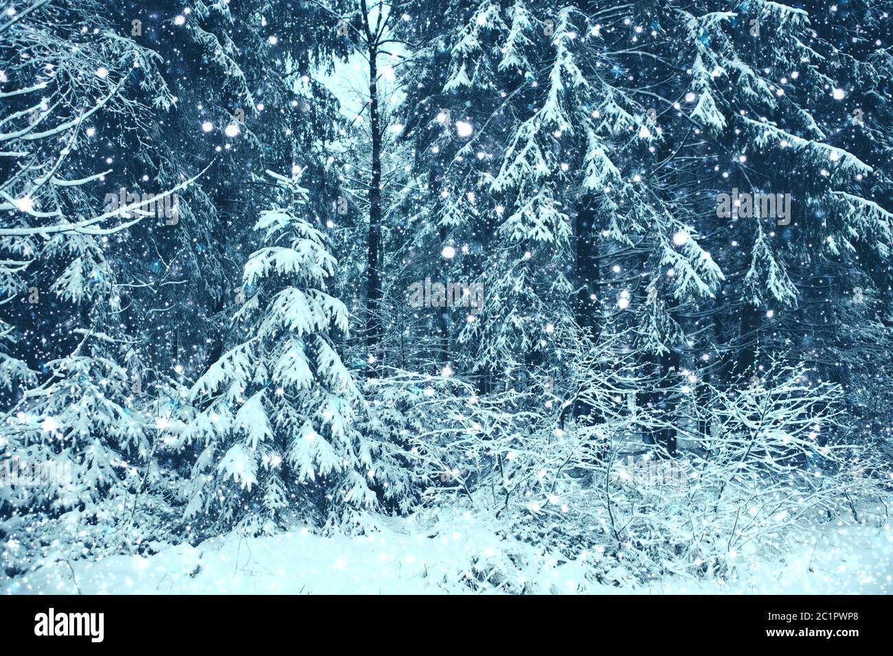 Snowfall in winter forest. Nature background with snow Stock Photo - Alamy