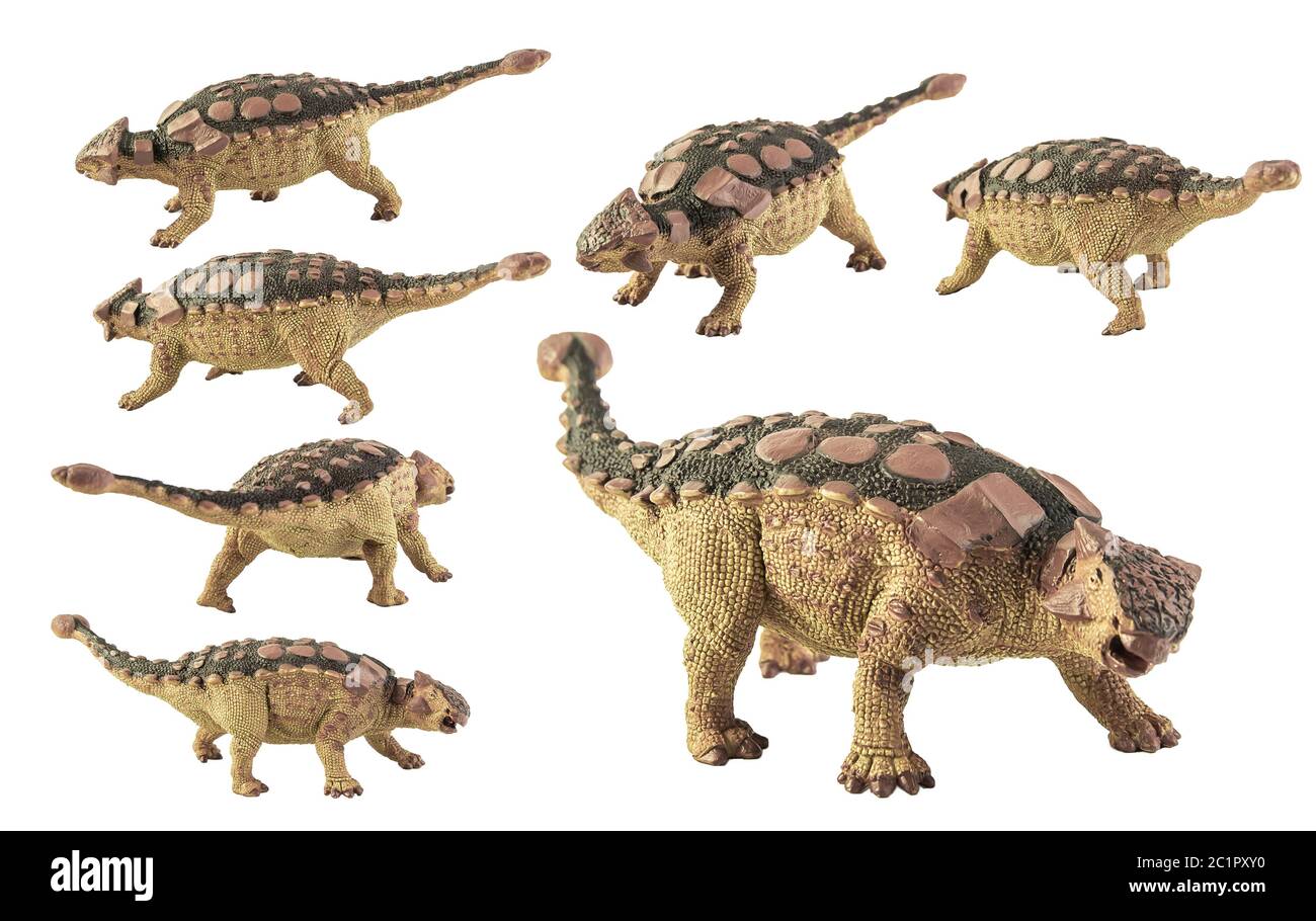 Ankylosaurus hi-res stock photography and images - Alamy