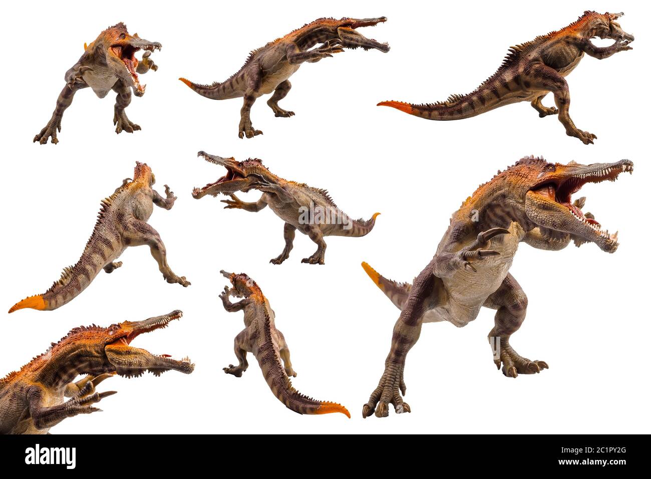 Baryonyx ,dinosaur on white background Stock Photo - Alamy