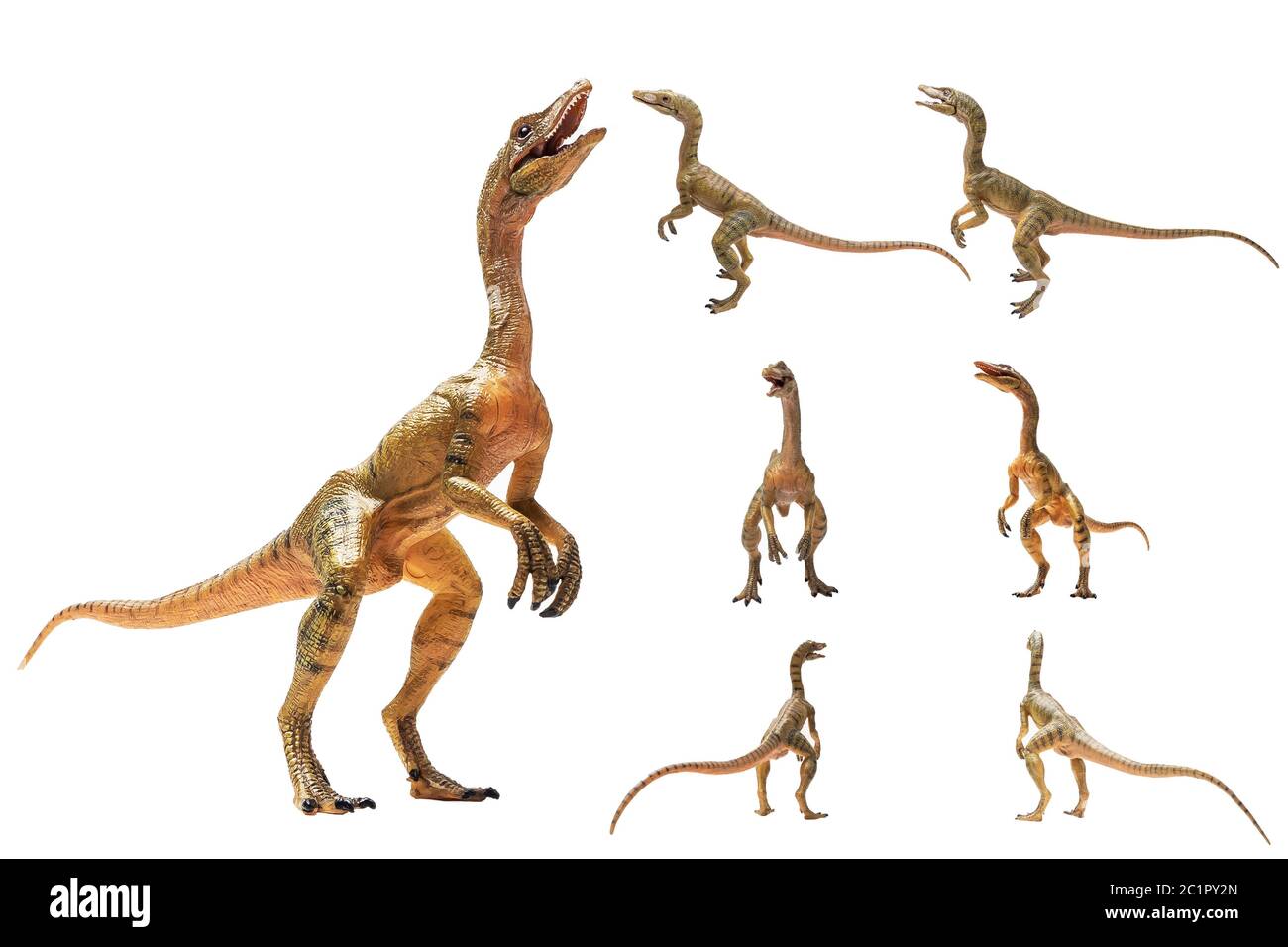 Compsognathus dinosaur hi-res stock photography and images - Alamy