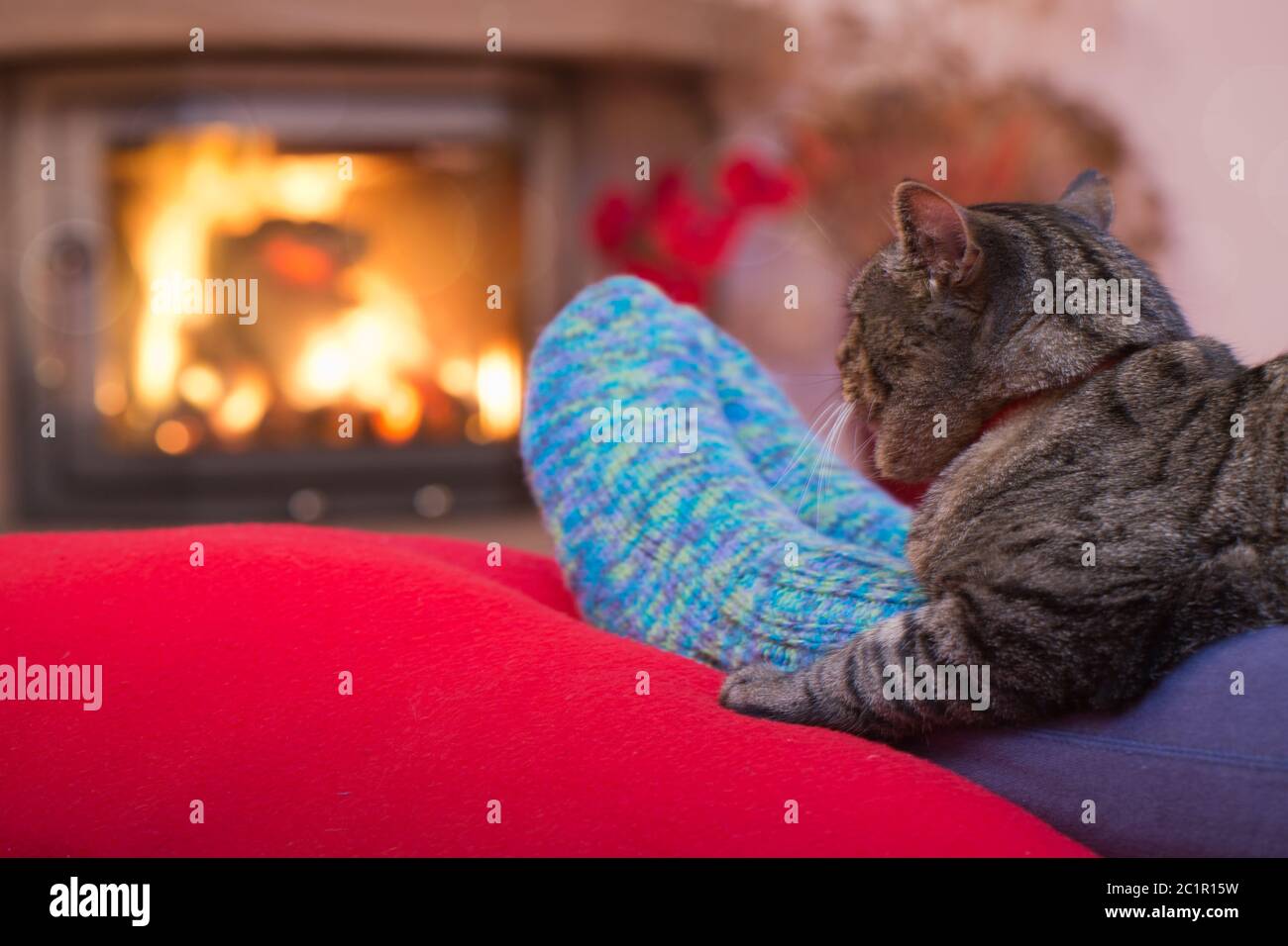 Fireplace Christmas Cat High Resolution Stock Photography and Images ...