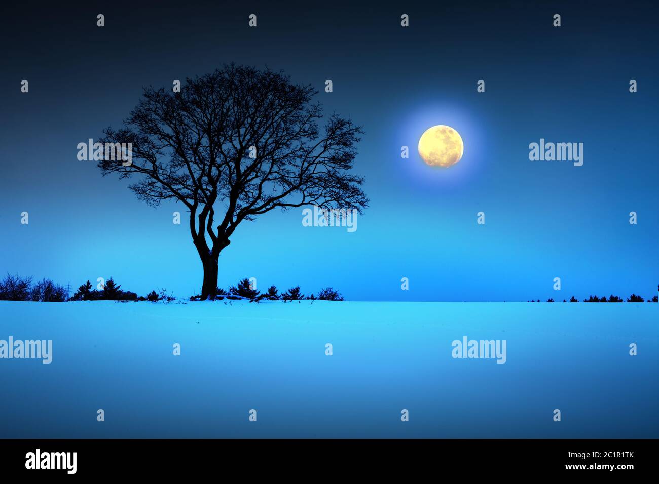 Winter landscape with black tree and full moon Stock Photo - Alamy