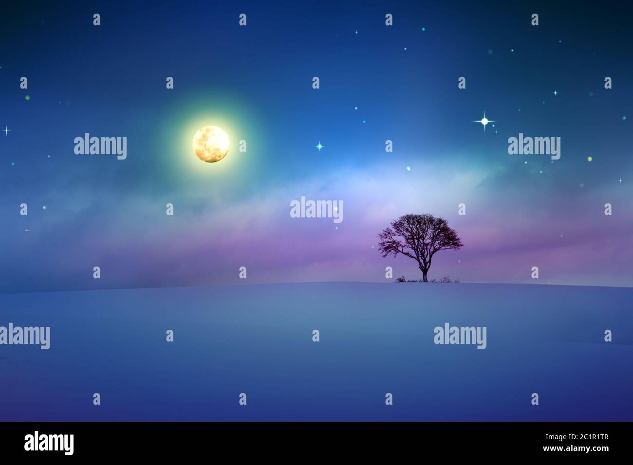 Night background moon tree hi-res stock photography and images - Alamy
