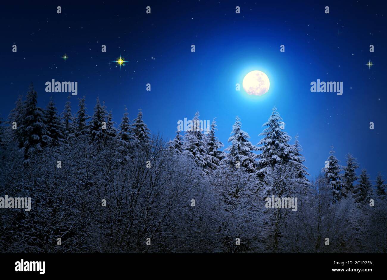 Full moon landscape trees hi-res stock photography and images - Alamy