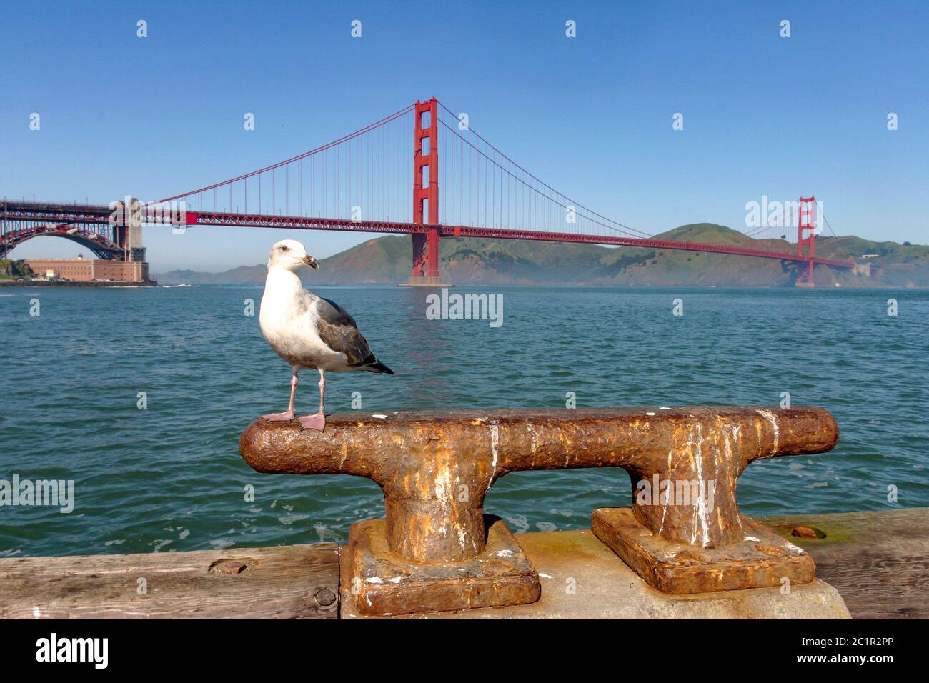 Golden gate bride hi-res stock photography and images - Alamy