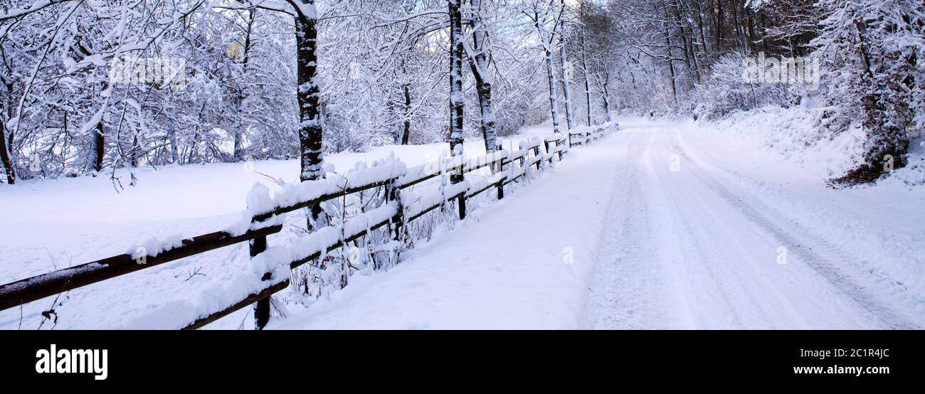 Winter trees and road in german forest with snow Stock Photo - Alamy