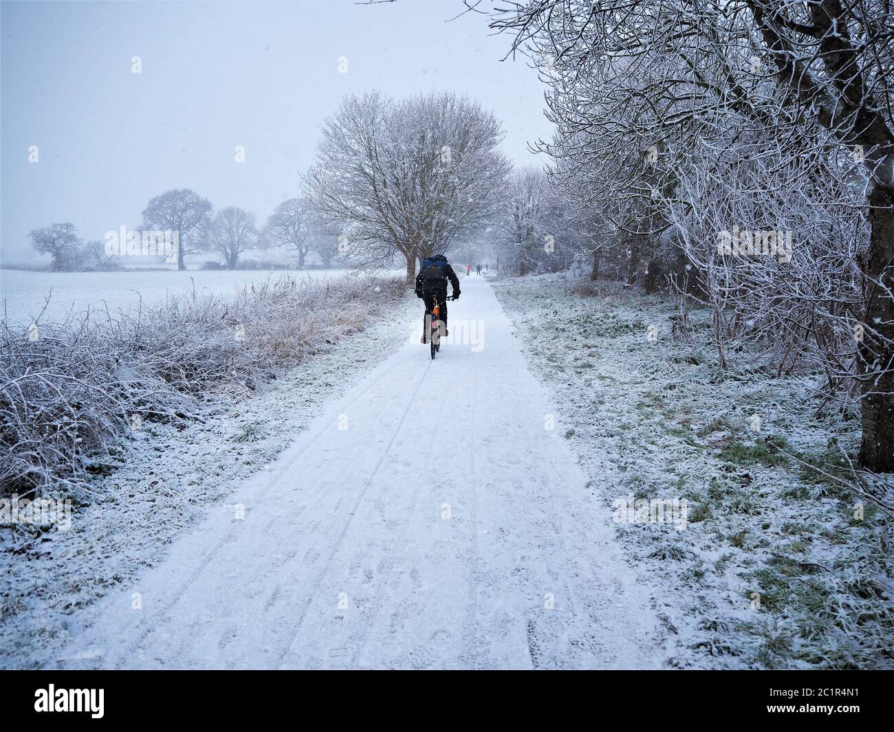 Cyclist on a cycle path through trees and fields in a snow shower near ...