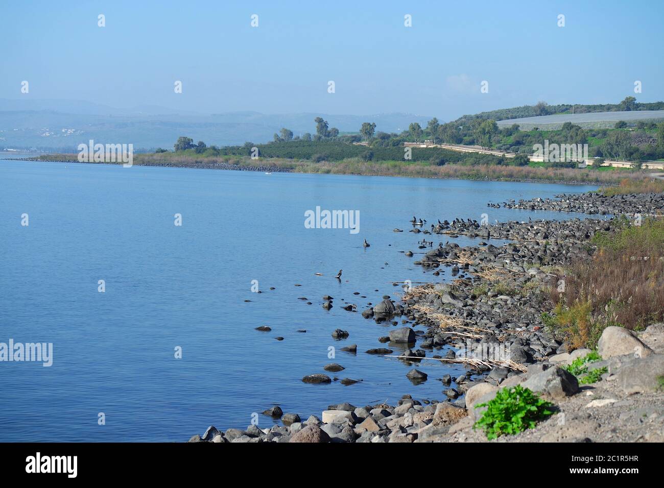 Sea of Galilee, Israel Stock Photo - Alamy