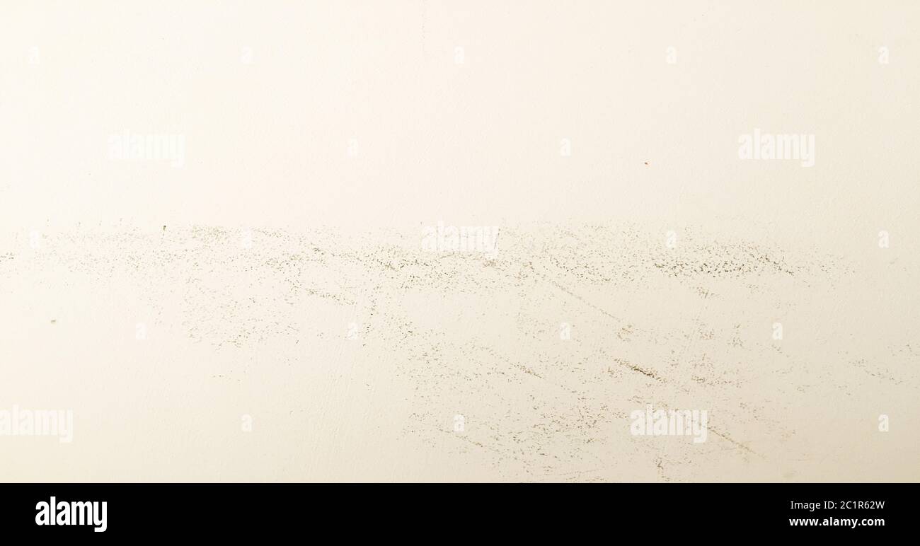 White washed painted textured abstract background with brush strokes in ...