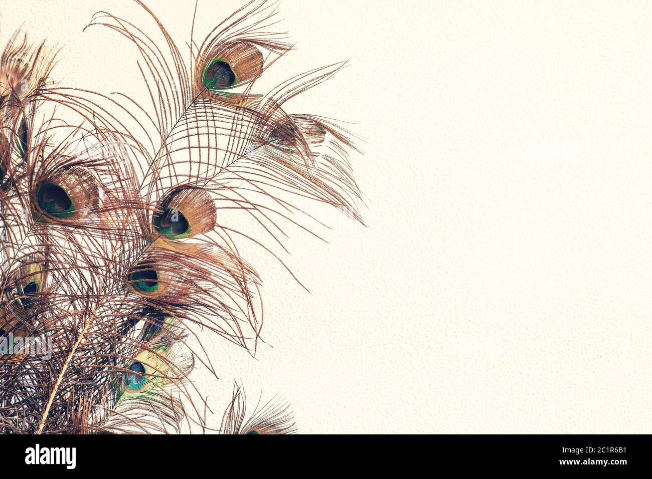 Peacock blue texture hi-res stock photography and images - Alamy