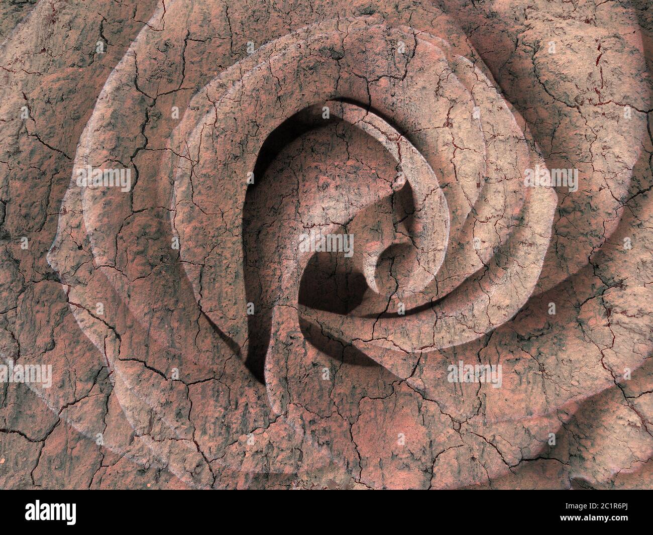 Structure of flower hi-res stock photography and images - Alamy