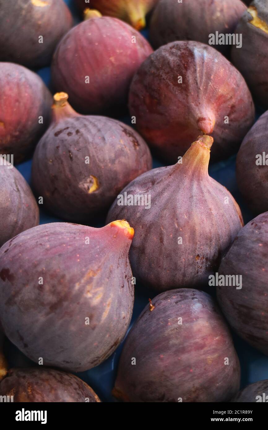 Vertical image of heap of magenta color fresh ripe figs Stock Photo - Alamy