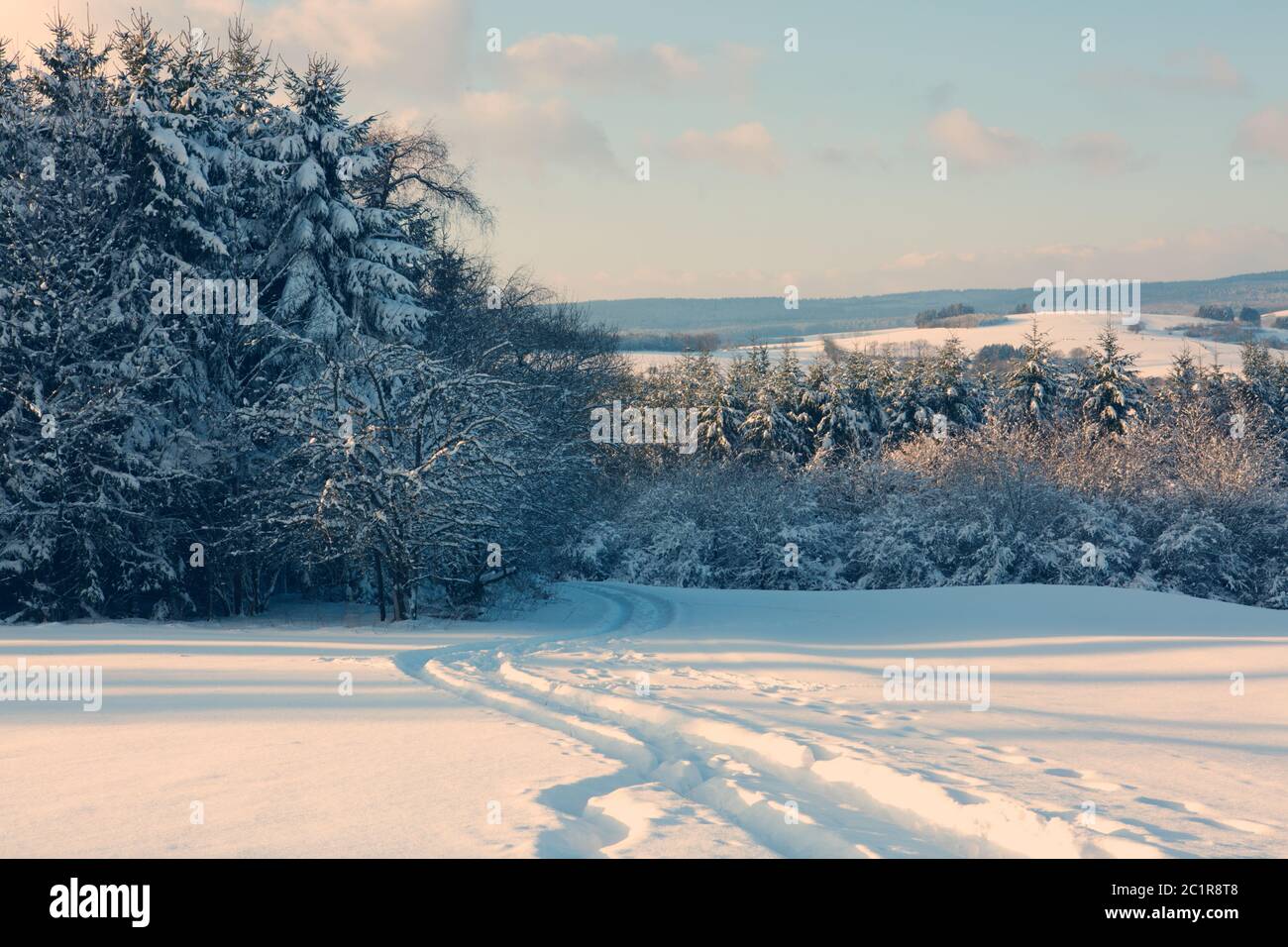 Trees with snow and winter road. Nature background Stock Photo - Alamy