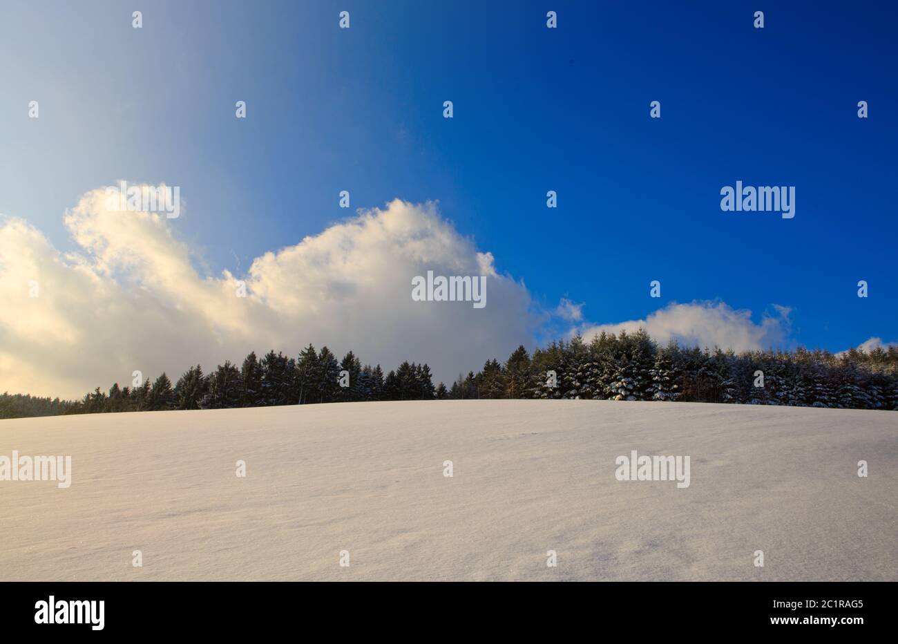 Snow field pine trees hi-res stock photography and images - Alamy