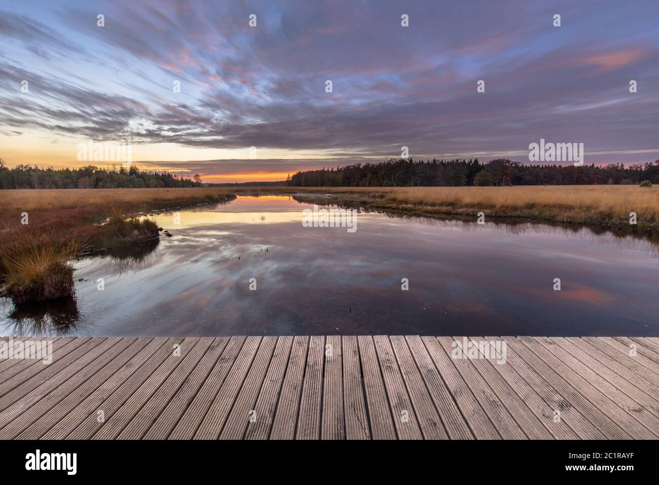 Boardwalk in heathland fen nature reserve landscape in province of ...