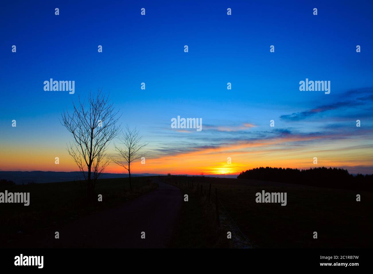 Sunset under the trees. Nature sunset background Stock Photo - Alamy
