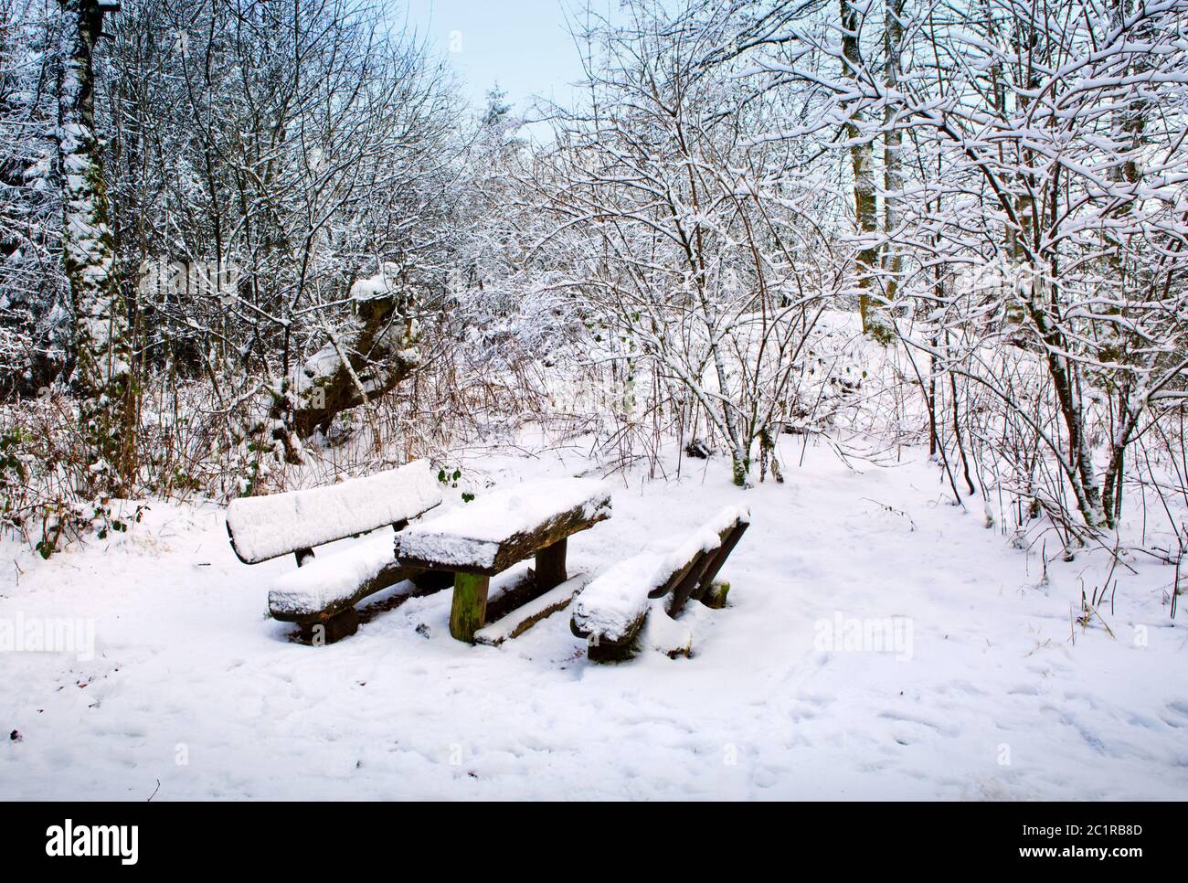 Heavy snowfall trees hi-res stock photography and images - Alamy