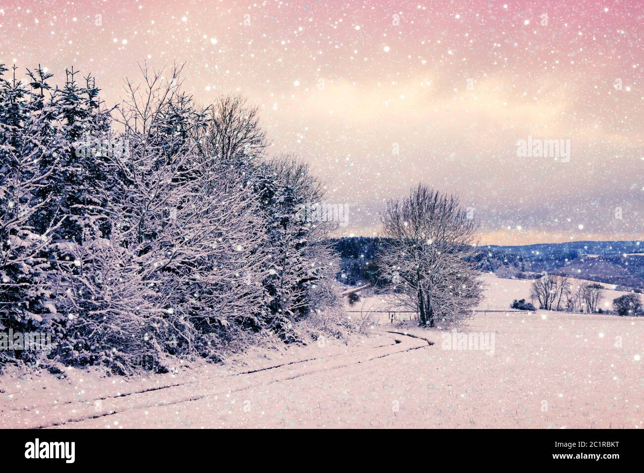Winter Trees covered with snow and road Stock Photo - Alamy