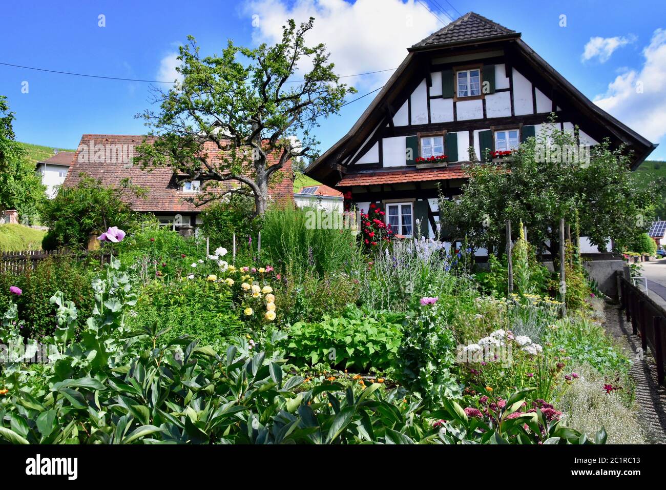 Durbach germany hi-res stock photography and images - Alamy