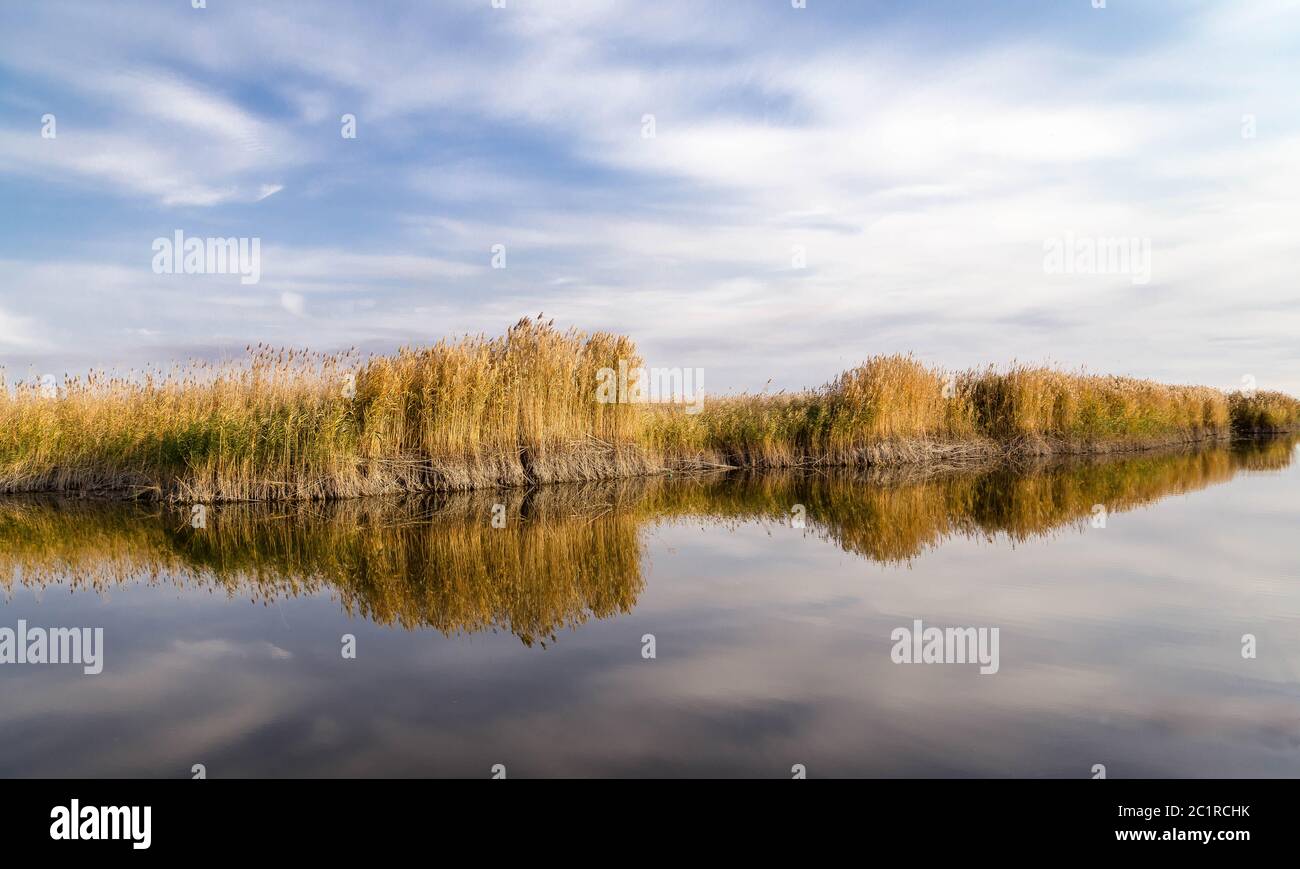 A beautiful river with reed on its shore and its reflection on the ...