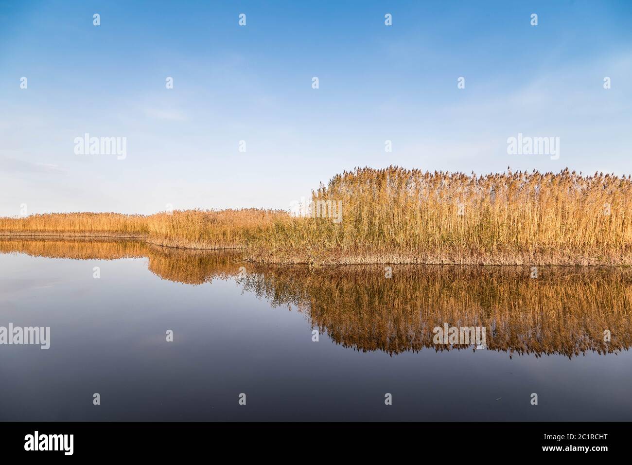 A beautiful river with reed on its shore and its reflection on the ...