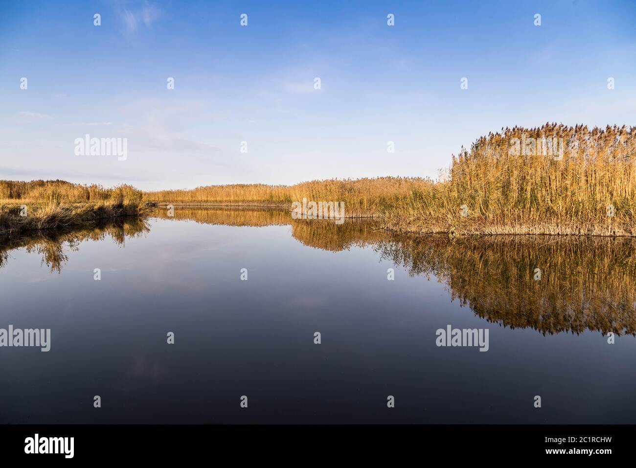 A beautiful river with reed on its shore and its reflection on the ...