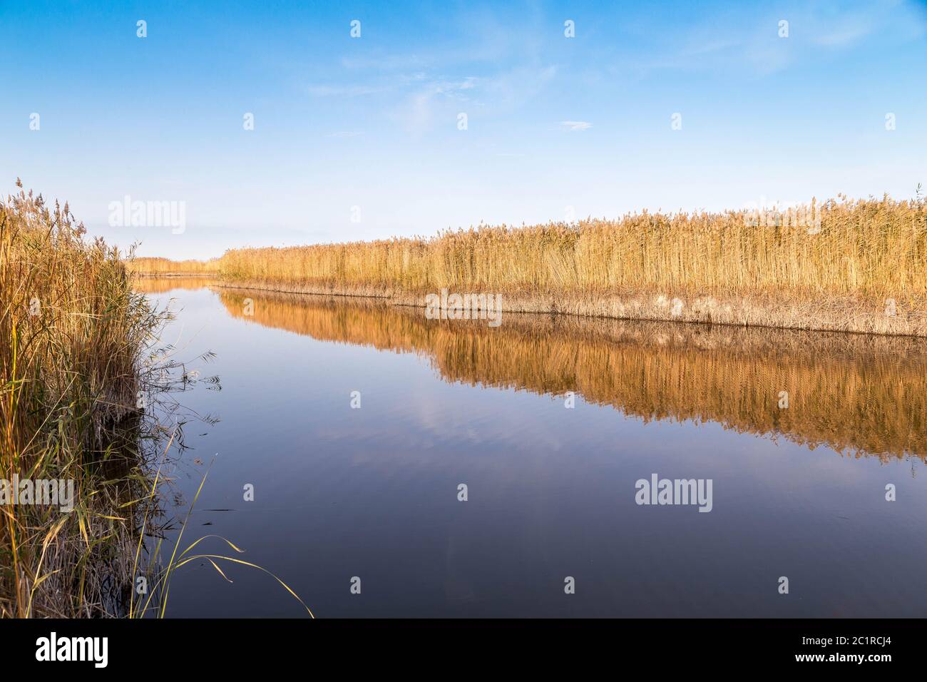 A beautiful river with reed on its shore and its reflection on the ...