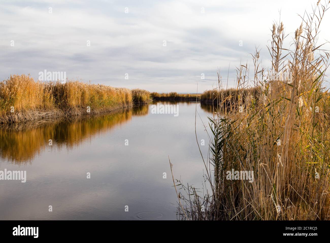 A beautiful river with reed on its shore and its reflection on the ...