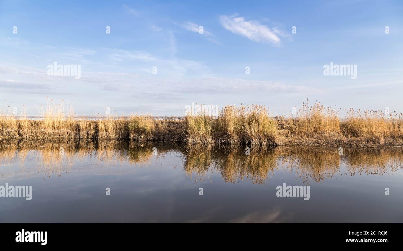A beautiful river with reed on its shore and its reflection on the ...
