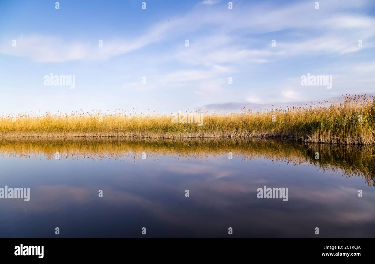 A beautiful river with reed on its shore and its reflection on the ...