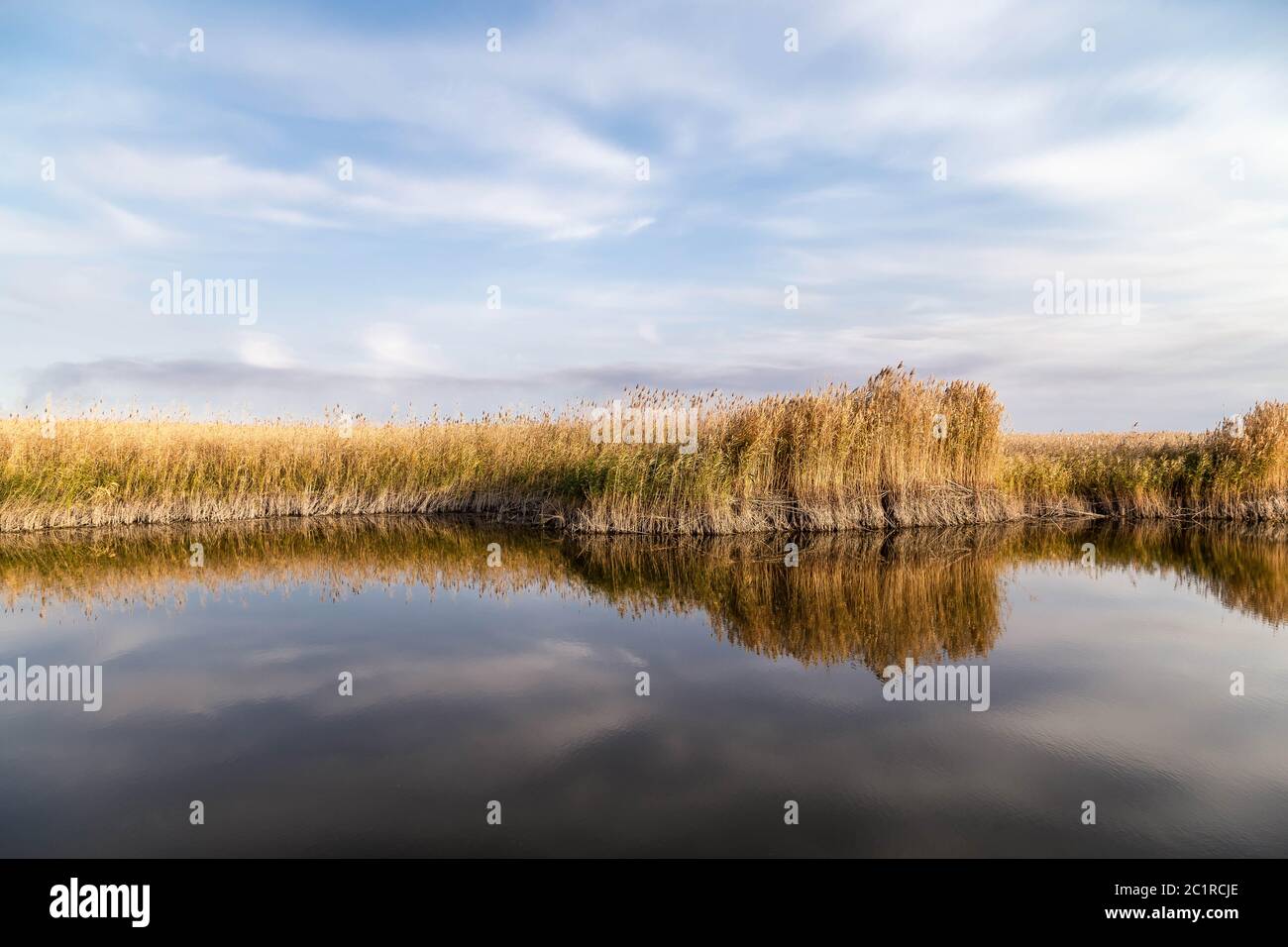 A beautiful river with reed on its shore and its reflection on the ...