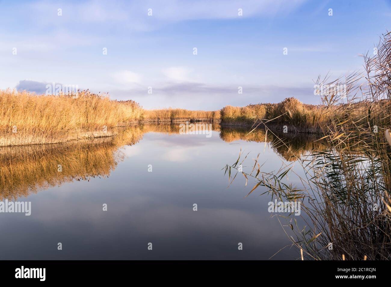 A beautiful river with reed on its shore and its reflection on the ...