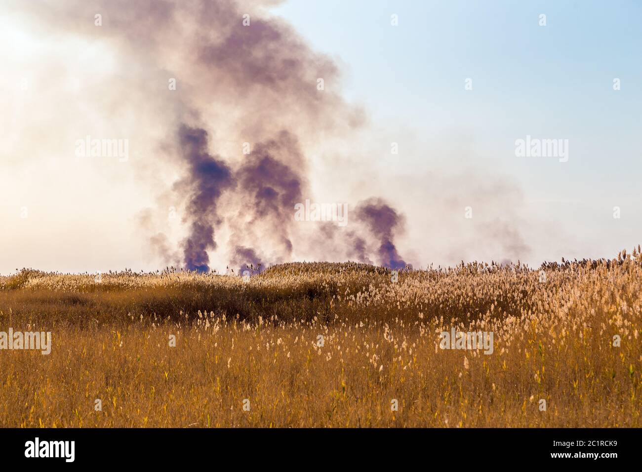 Wildfire smoke landscape hi-res stock photography and images - Alamy