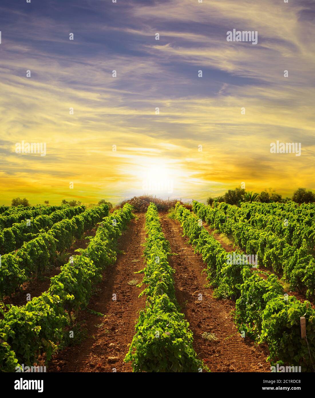 Countryside sun set hi-res stock photography and images - Alamy