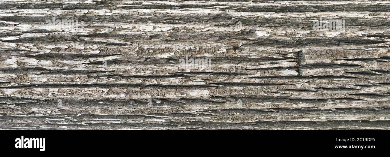 Gray oak texture hi-res stock photography and images - Alamy