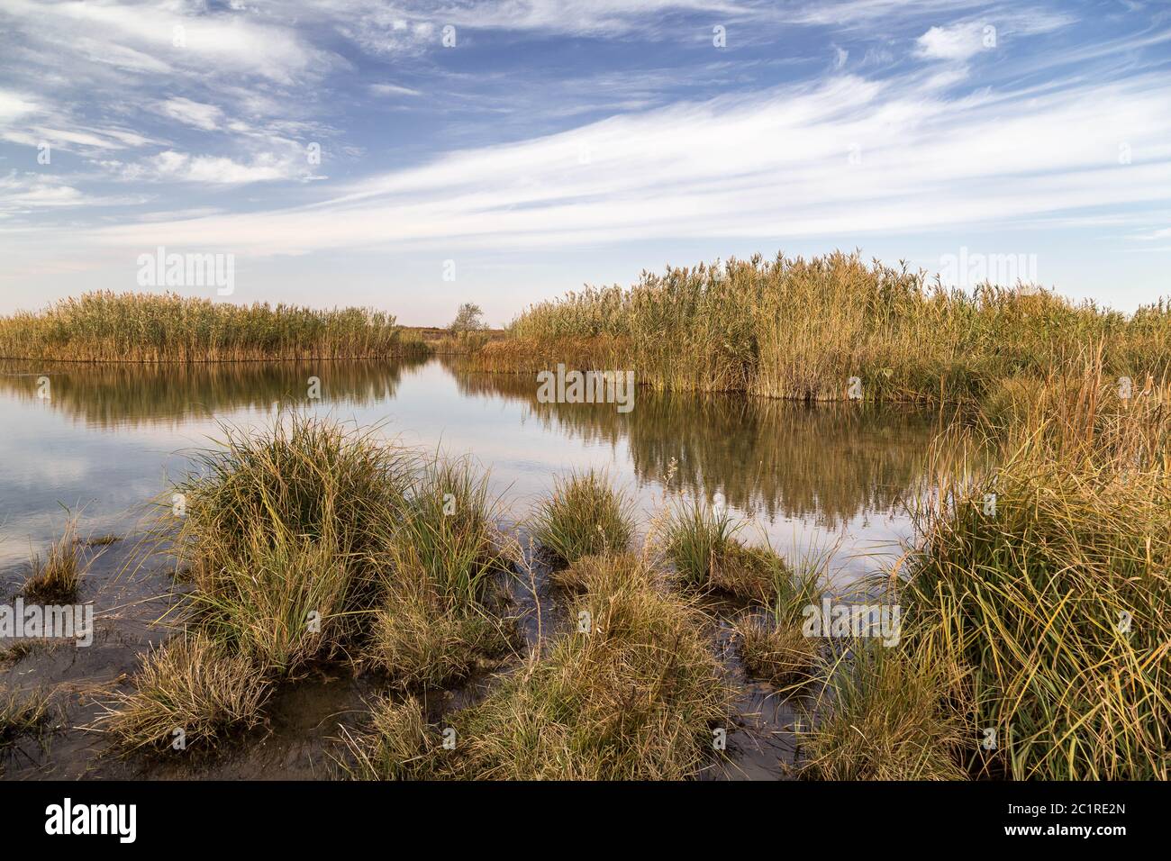 A beautiful river with reed on its shore and its reflection on the ...