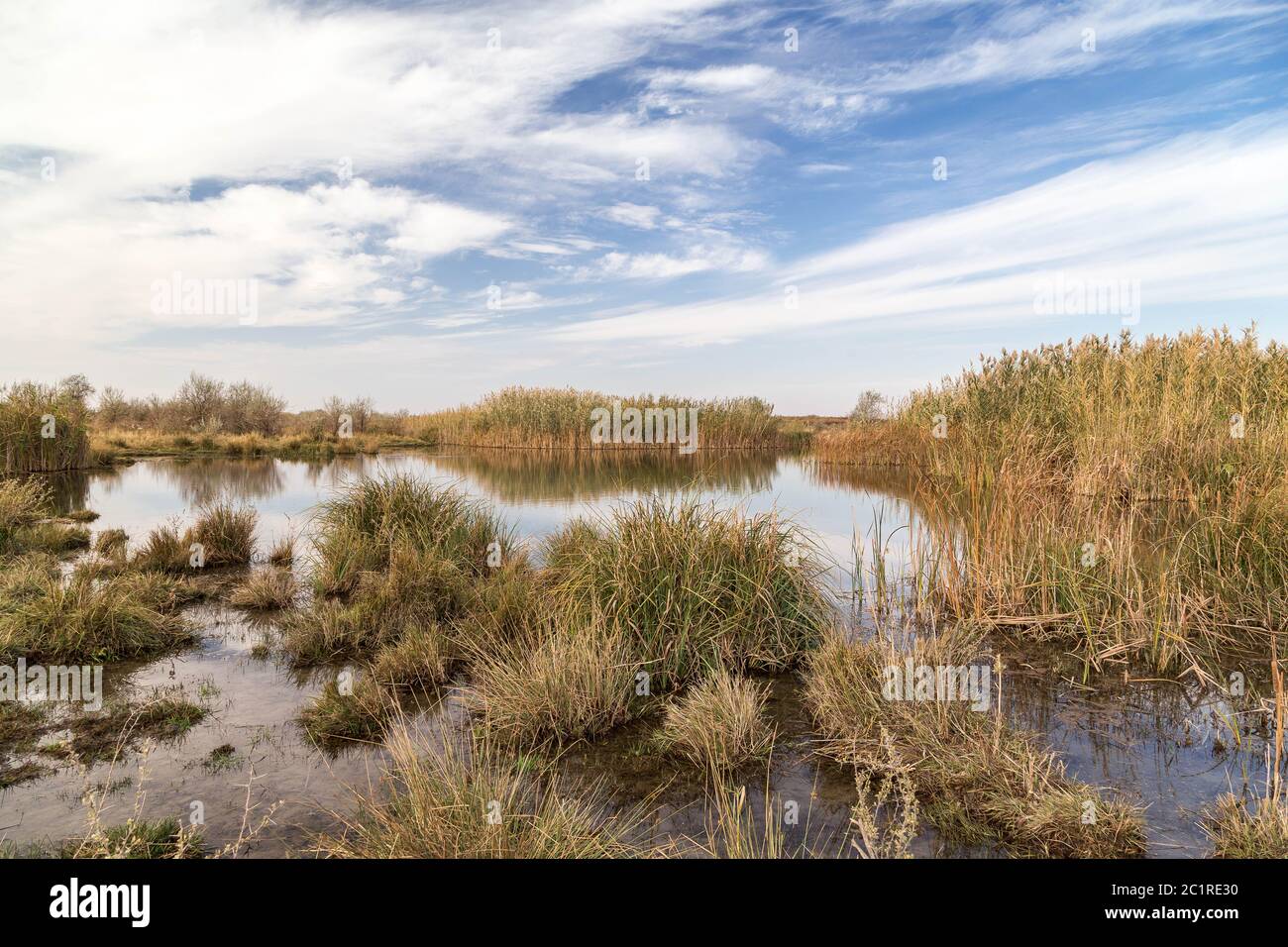 A beautiful river with reed on its shore and its reflection on the ...