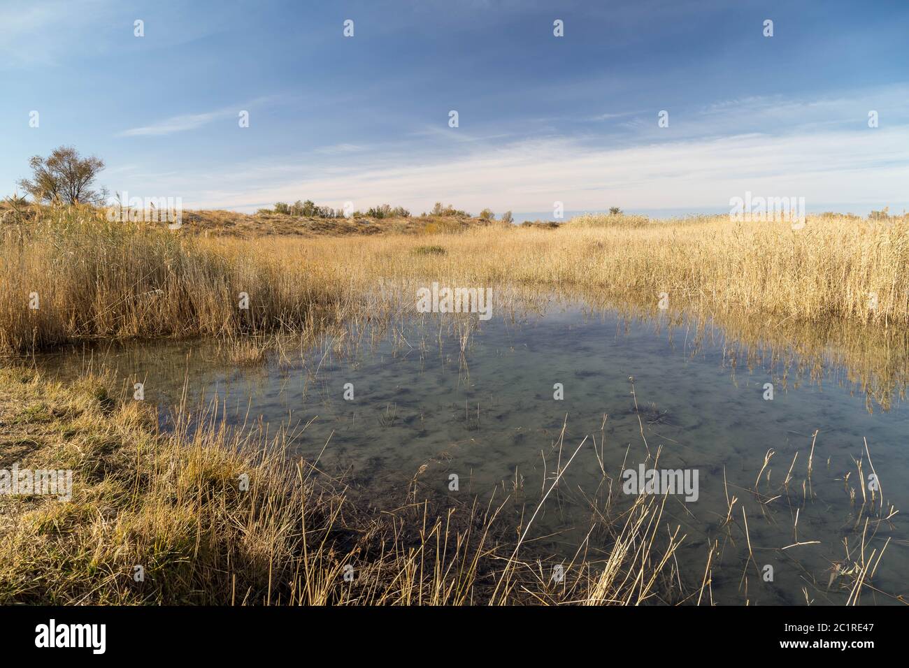 A beautiful river with reed on its shore and its reflection on the ...