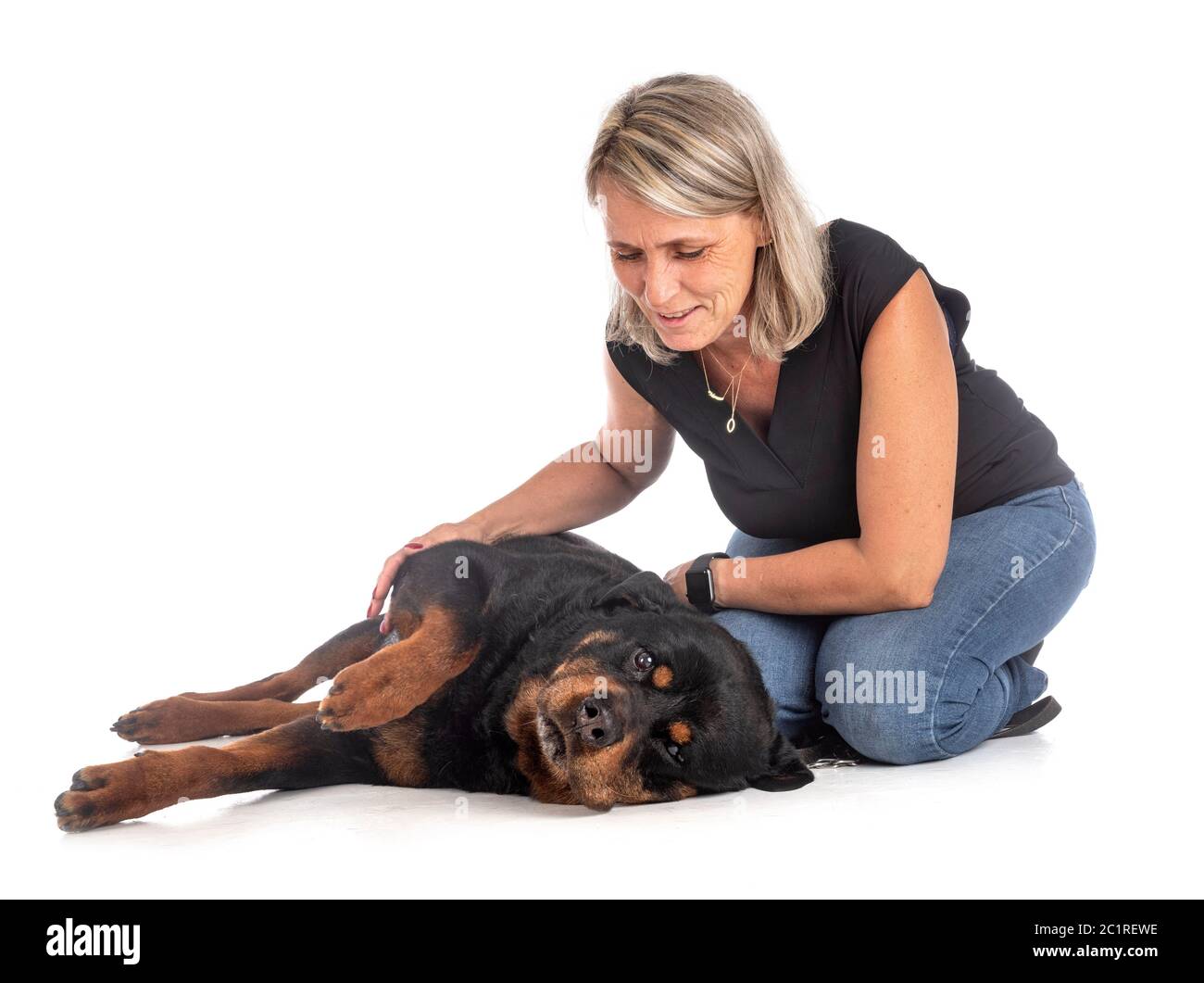 purebred rottweiler and woman in front of white background Stock Photo ...