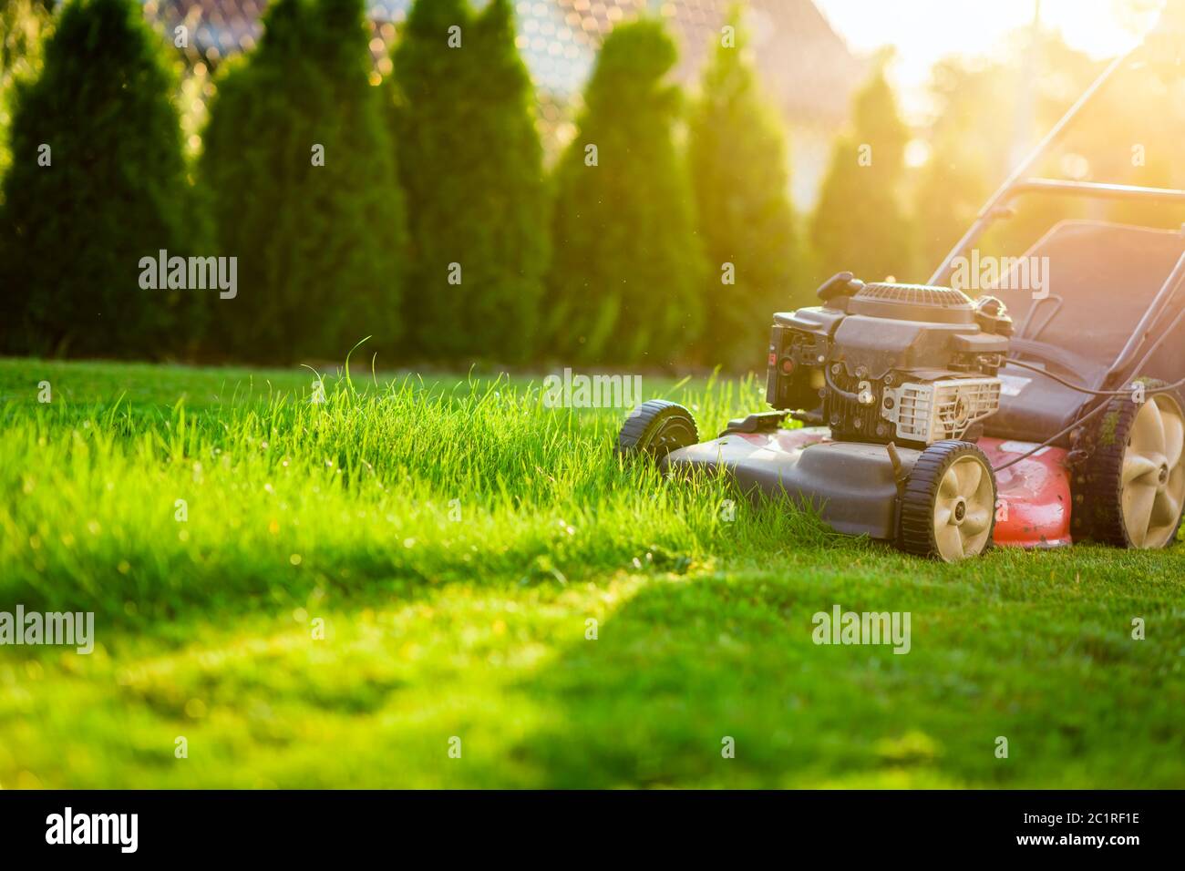 Lawn mower cutting green grass Stock Photo - Alamy
