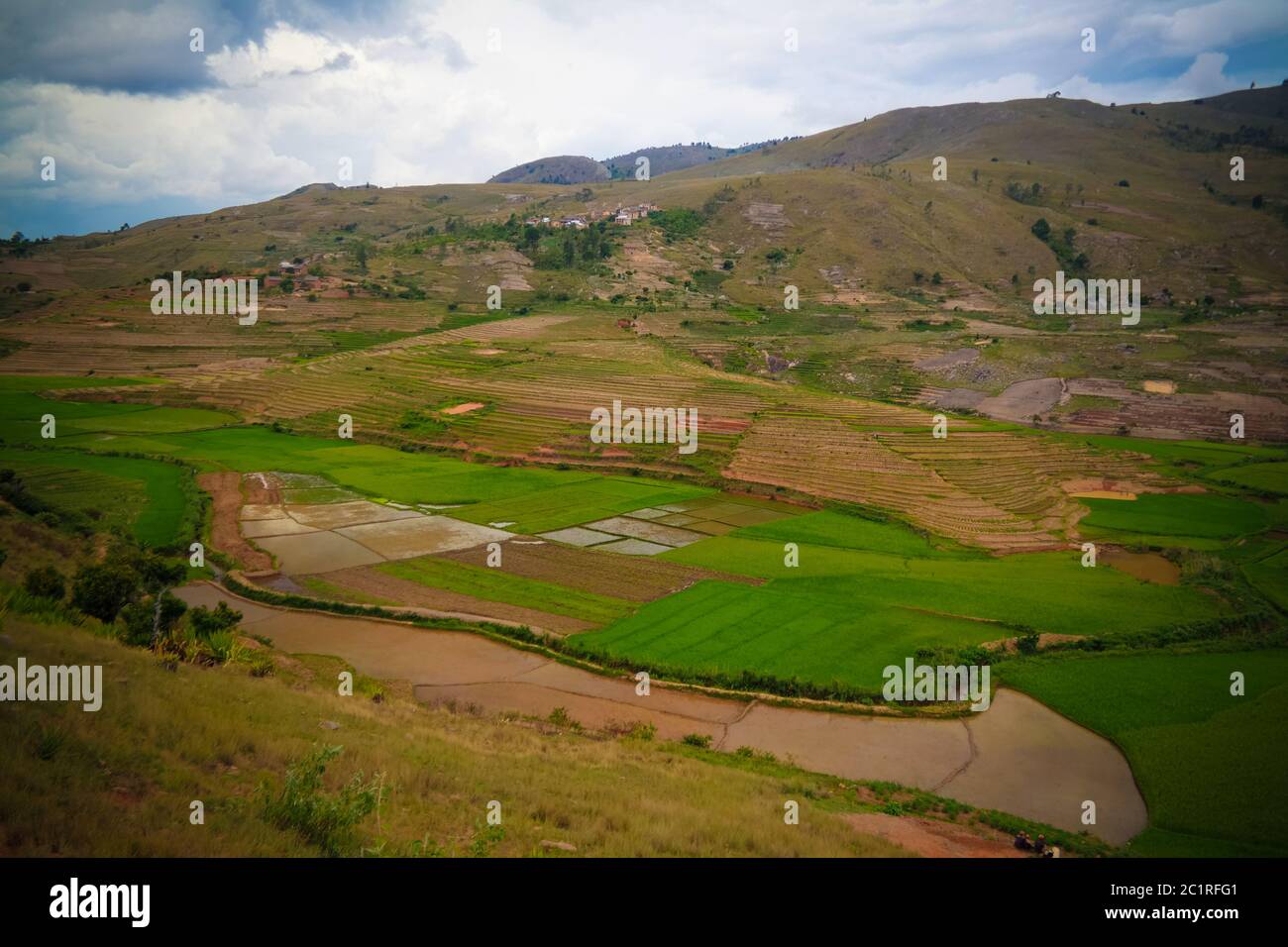 Landscape with the rice fields at Ambalavao Fianarantsoa ,Madagascar ...