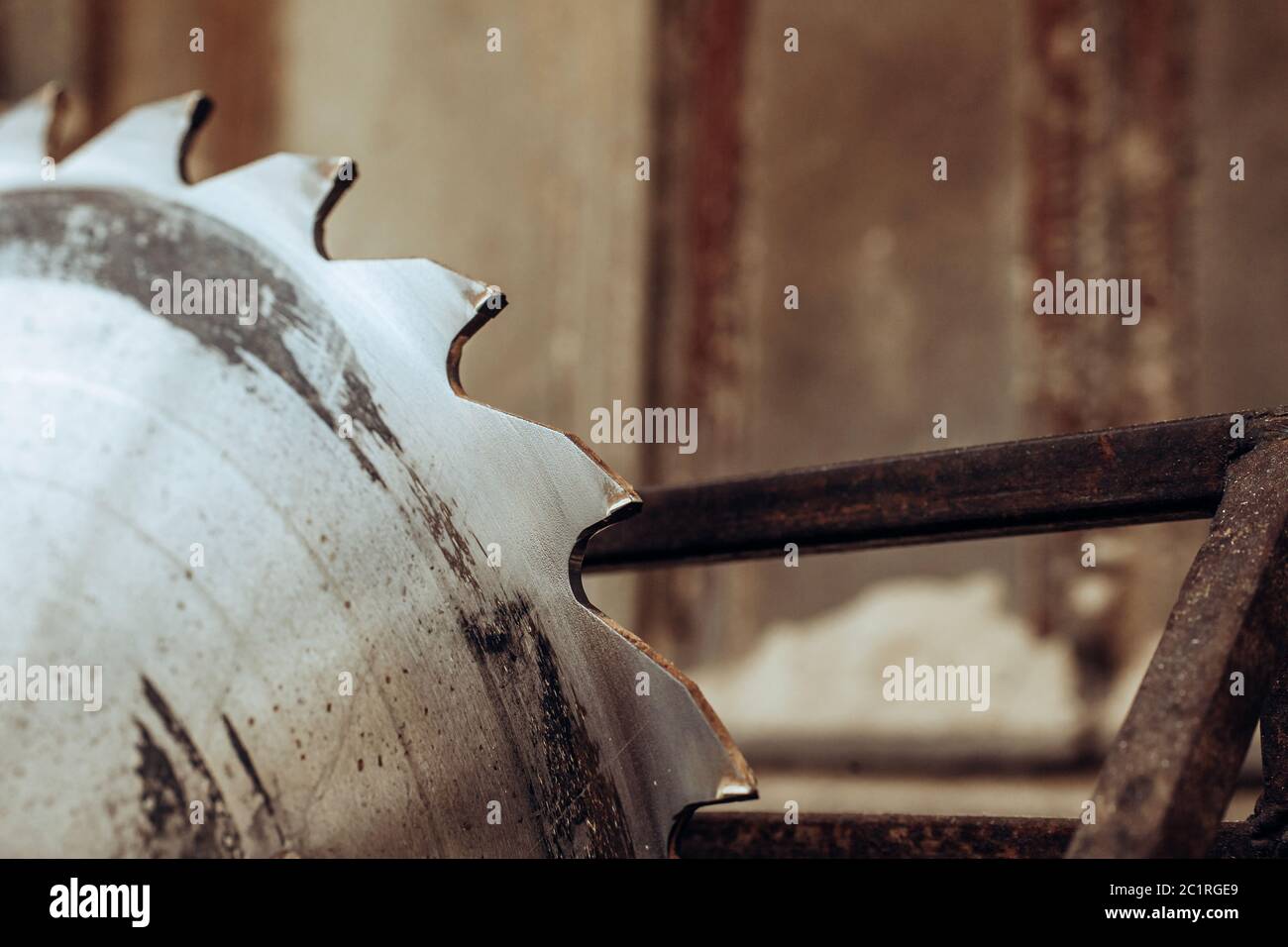Close up circular saw hi-res stock photography and images - Alamy