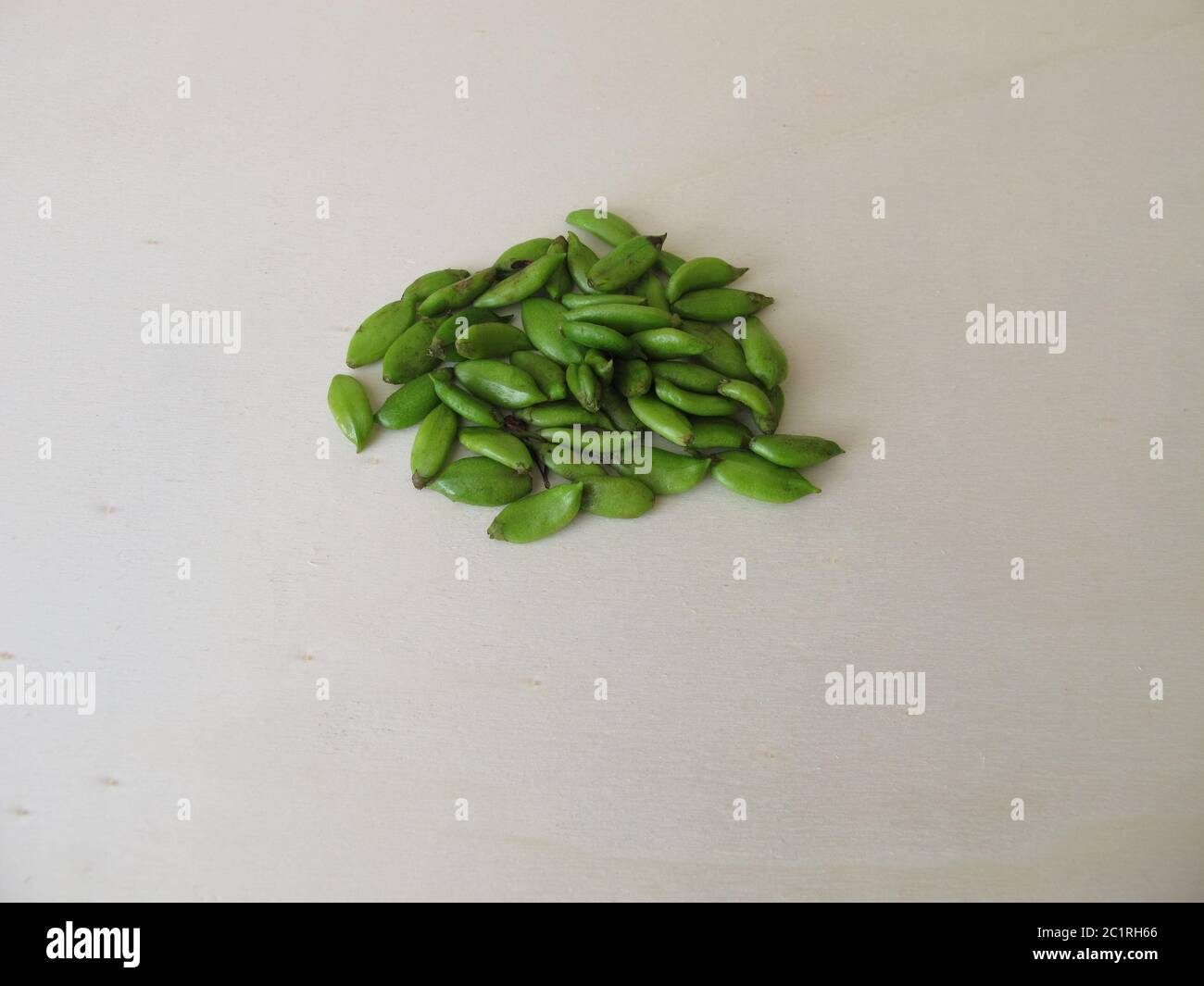 Green capsule fruits hi-res stock photography and images - Alamy