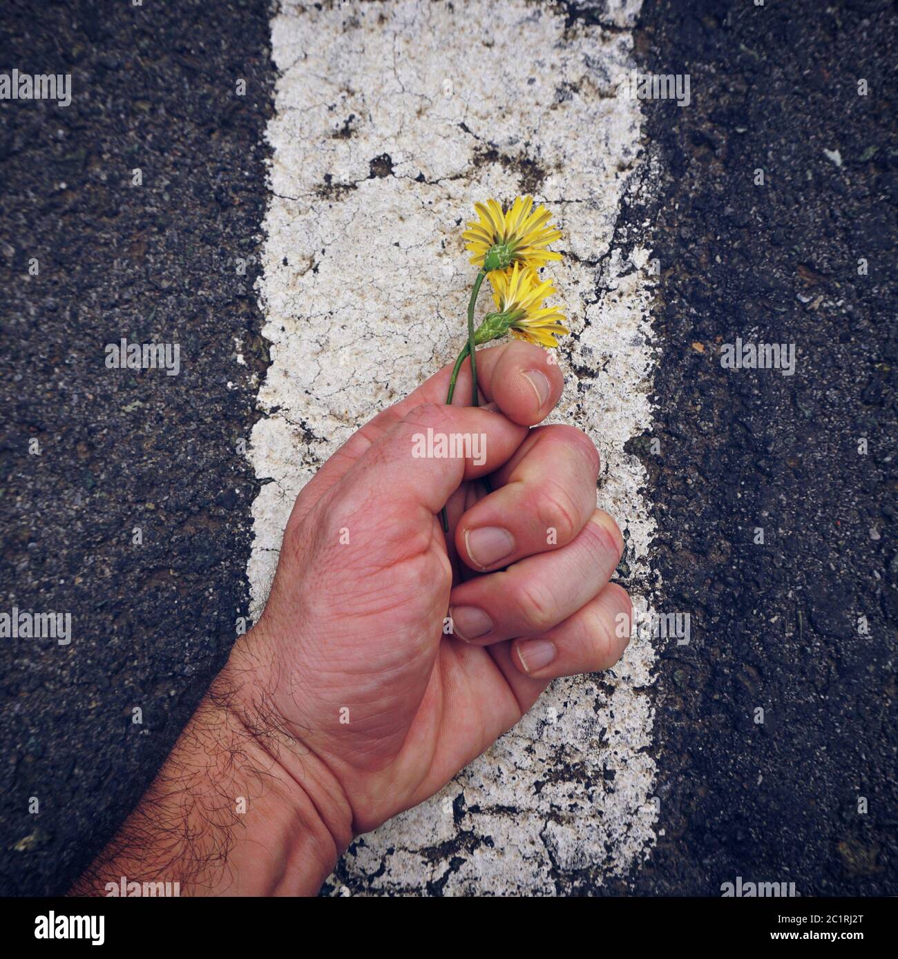 Hand yellow hi-res stock photography and images - Alamy