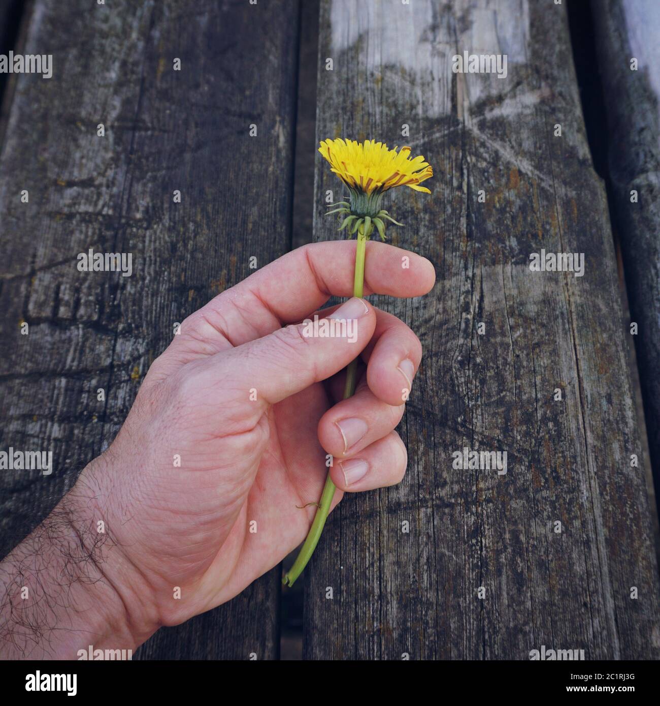 Hand yellow hi-res stock photography and images - Alamy