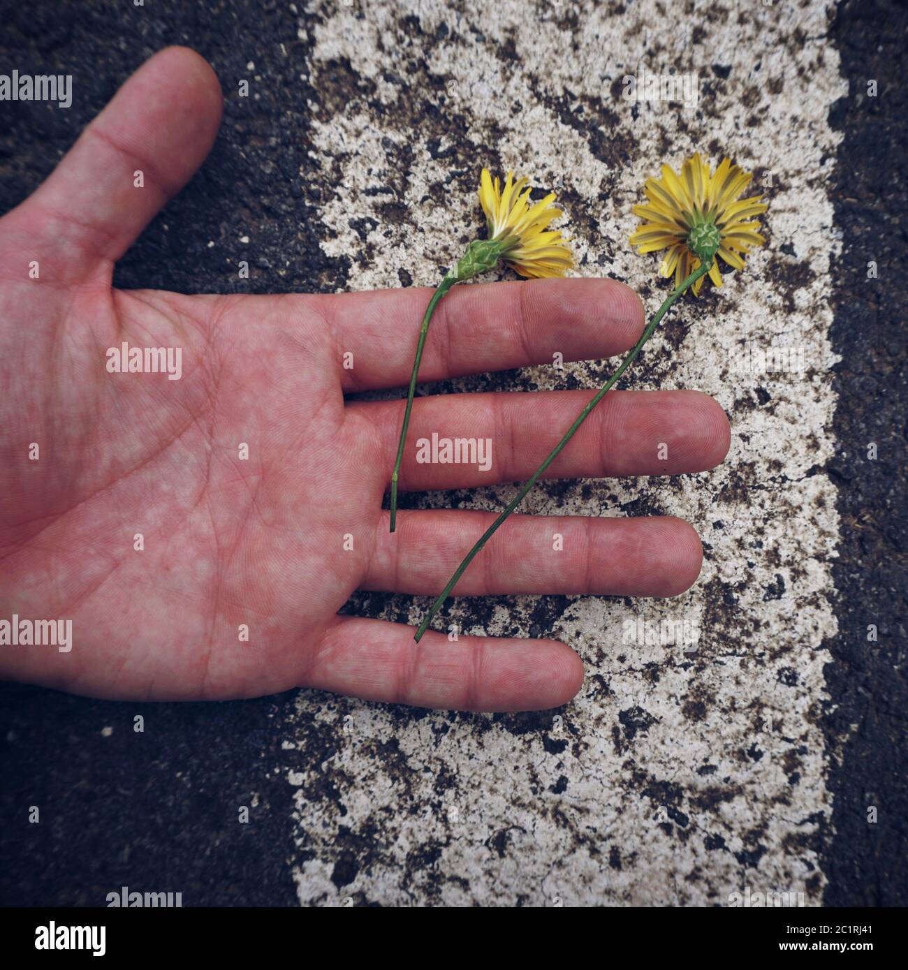 Hand yellow hi-res stock photography and images - Alamy