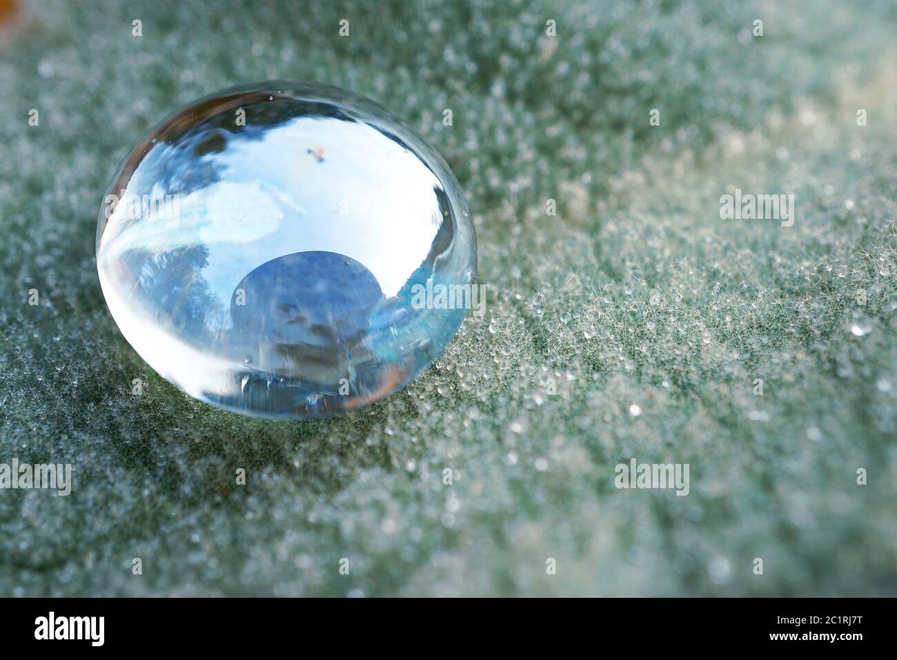 Drops of crystal glass hi-res stock photography and images - Alamy