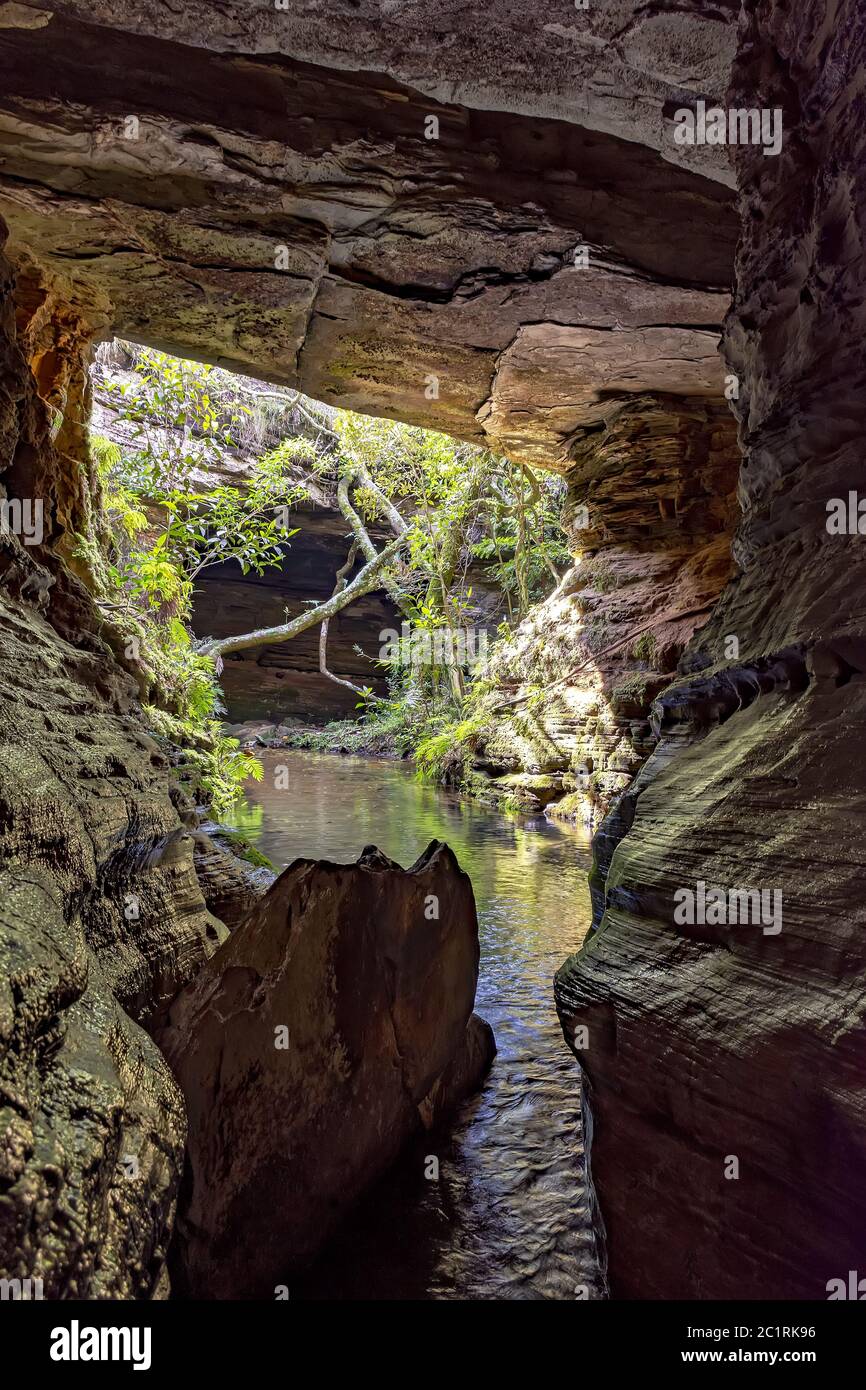 River crossing a cave in the Brazilian rain forest Stock Photo - Alamy