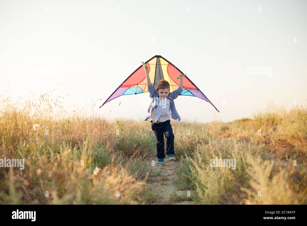 Blue Kite From Kite Runner