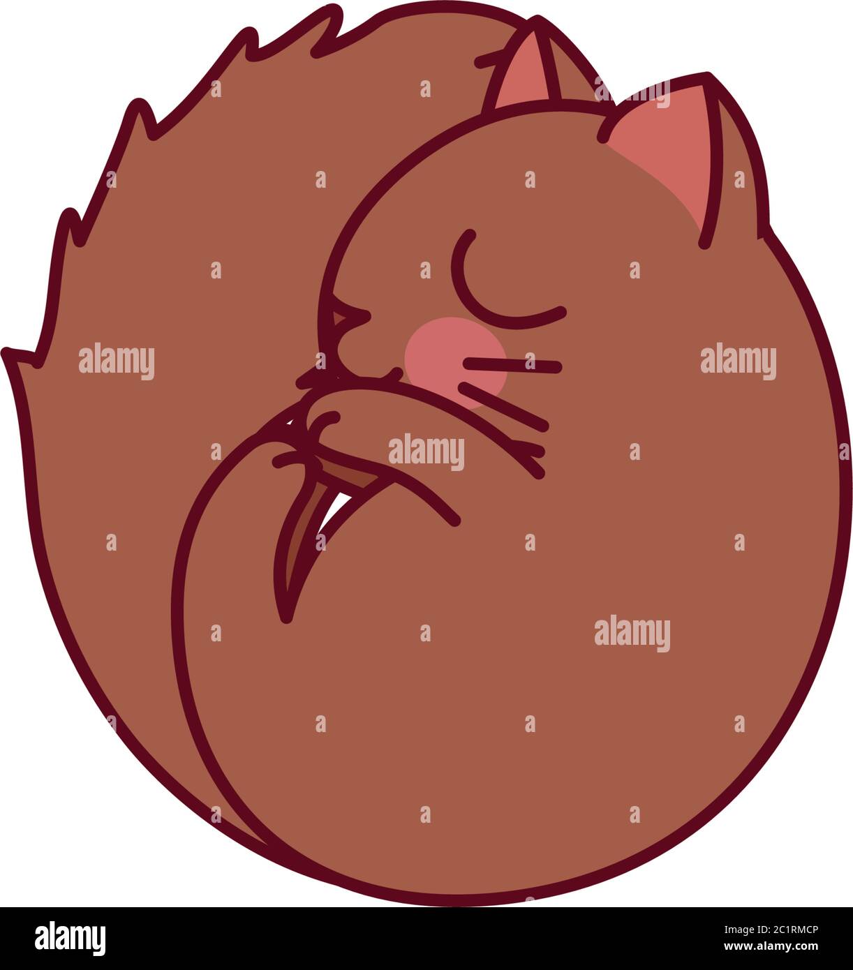 Little baby cat sleep Cut Out Stock Images & Pictures - Alamy